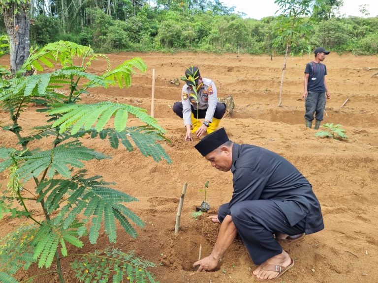 Ratusan Pohon Ditanam untuk Cegah Longsor di Kawasan Wisata Goci ...
