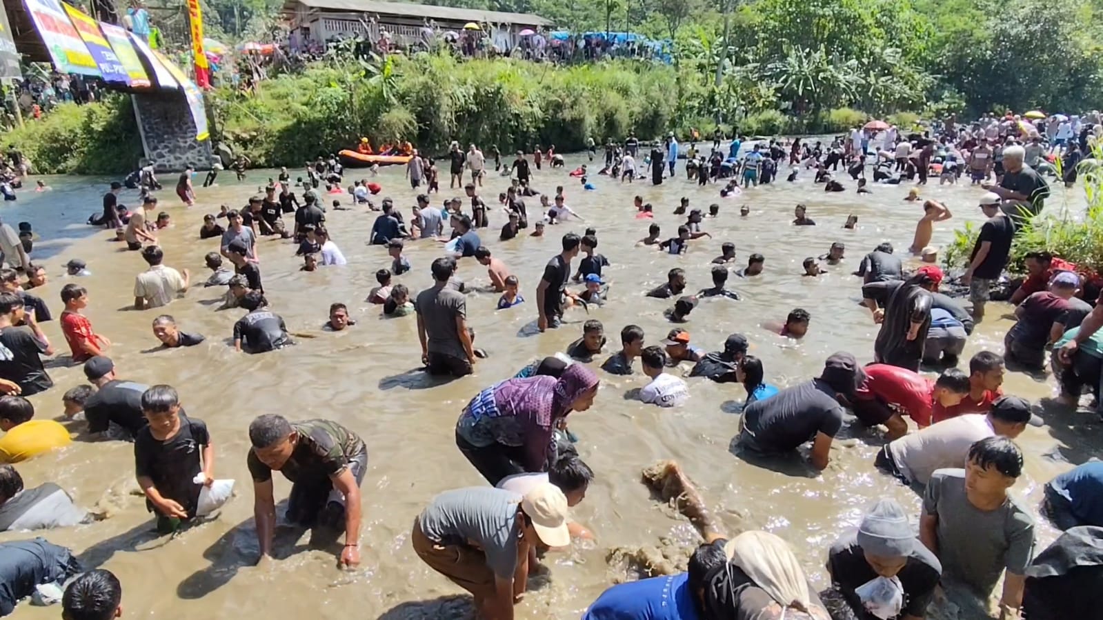 11 Ribu Warga Tumplek di Sungai Banjarnegara, Rebutan Ikan 600 Kg dalam ...