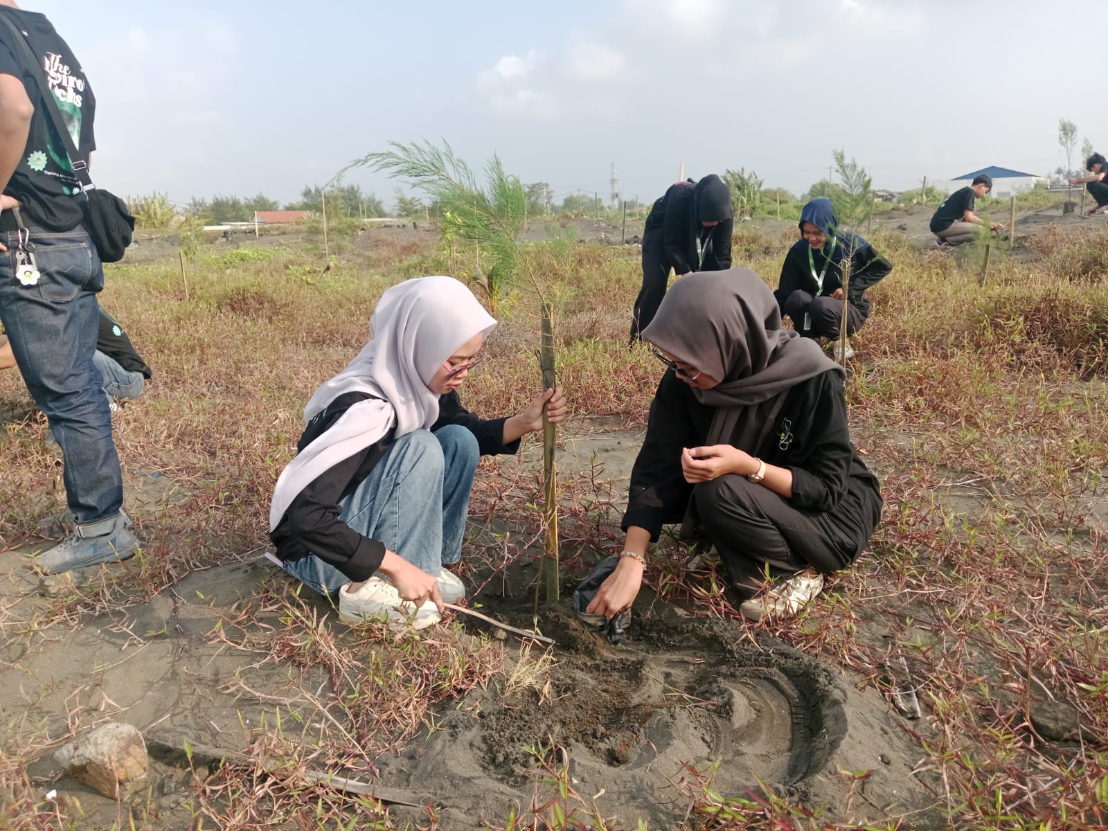 Peringati Hari Lingkungan Hidup, Cilacap Tanam 1.000 Pohon Cemara Laut ...