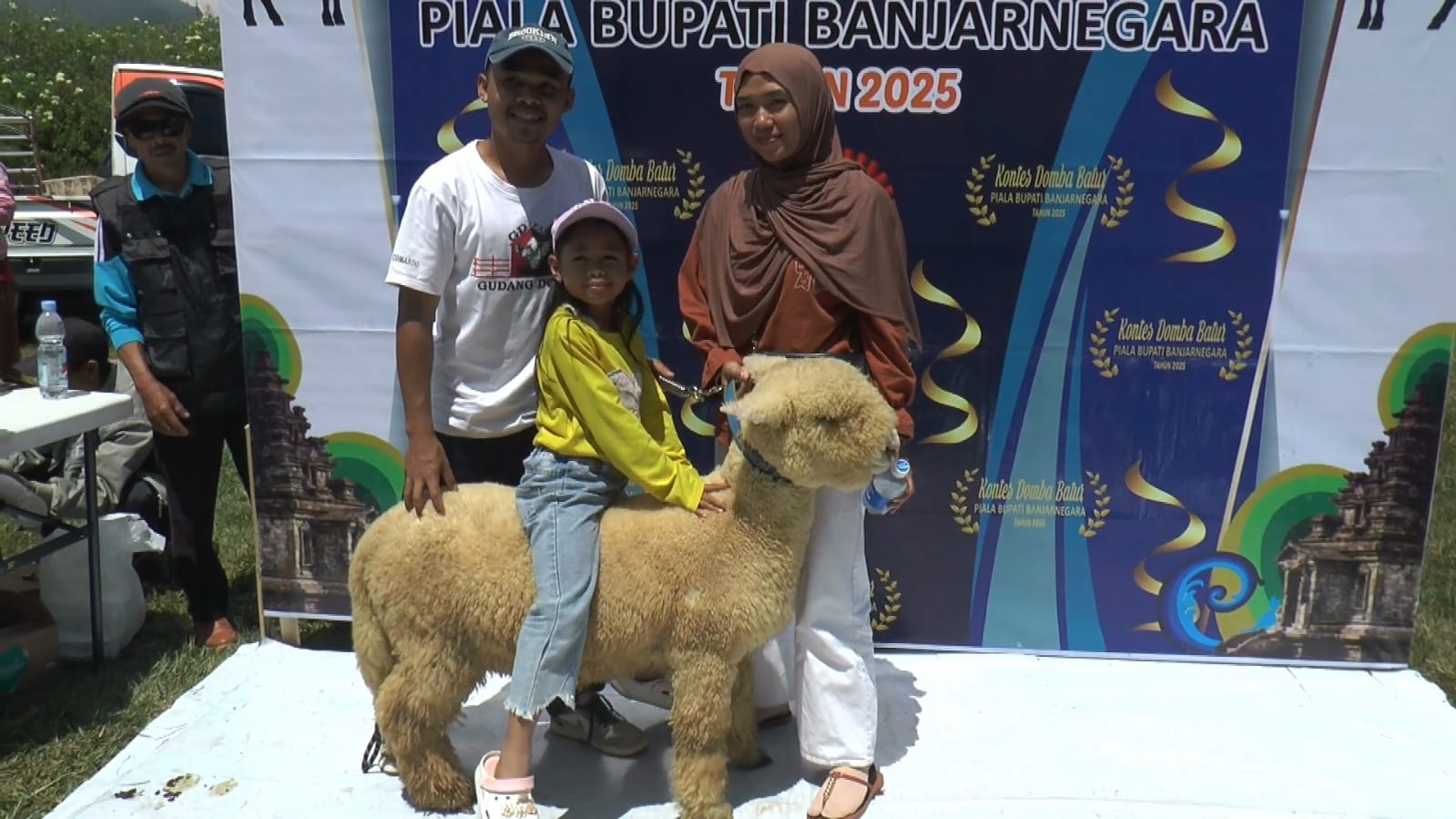 Domba Batur Jadi Primadona Wisatawan di Dieng Culture Festival